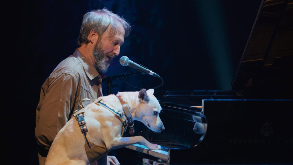 Tom Green on Comedy, Influence, and the Changing Creative Landscape ...